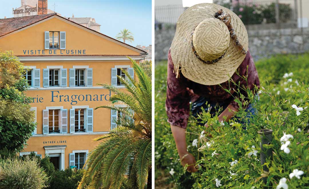 Grasse Perfume Week 2025 : La culture olfactive à l’honneur